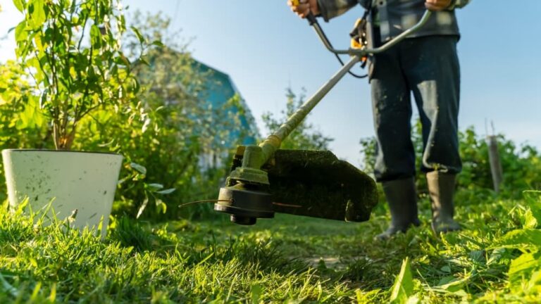 Expert Lawn Care & Property Management | Richard Jones Landscaping ...